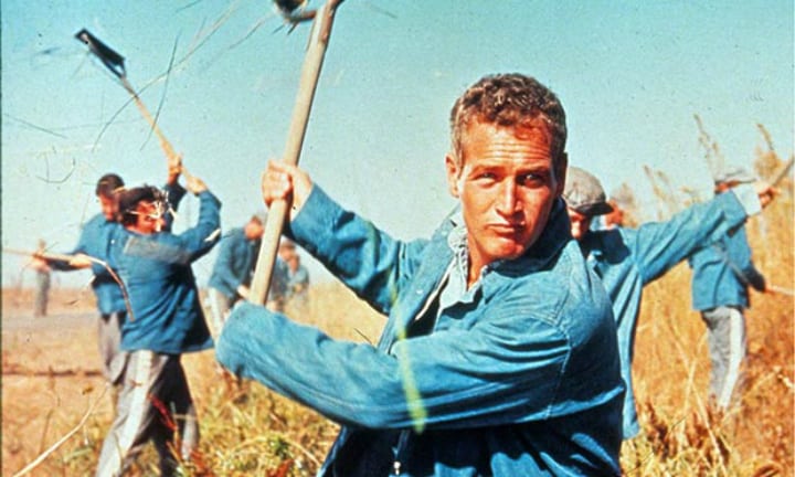 Cool Hand Colin? | Richard Neer